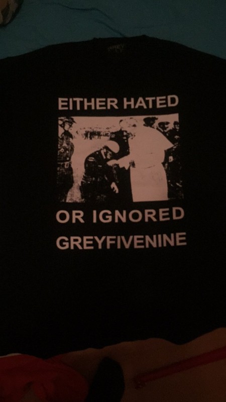 Either Hated Or Ignored Greyfivenine